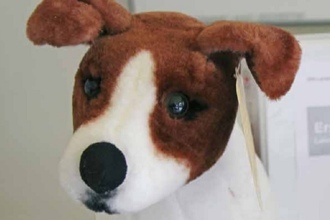 Erste Hilfe am Hund - Kreisverband Herne und Wanne-Eickel